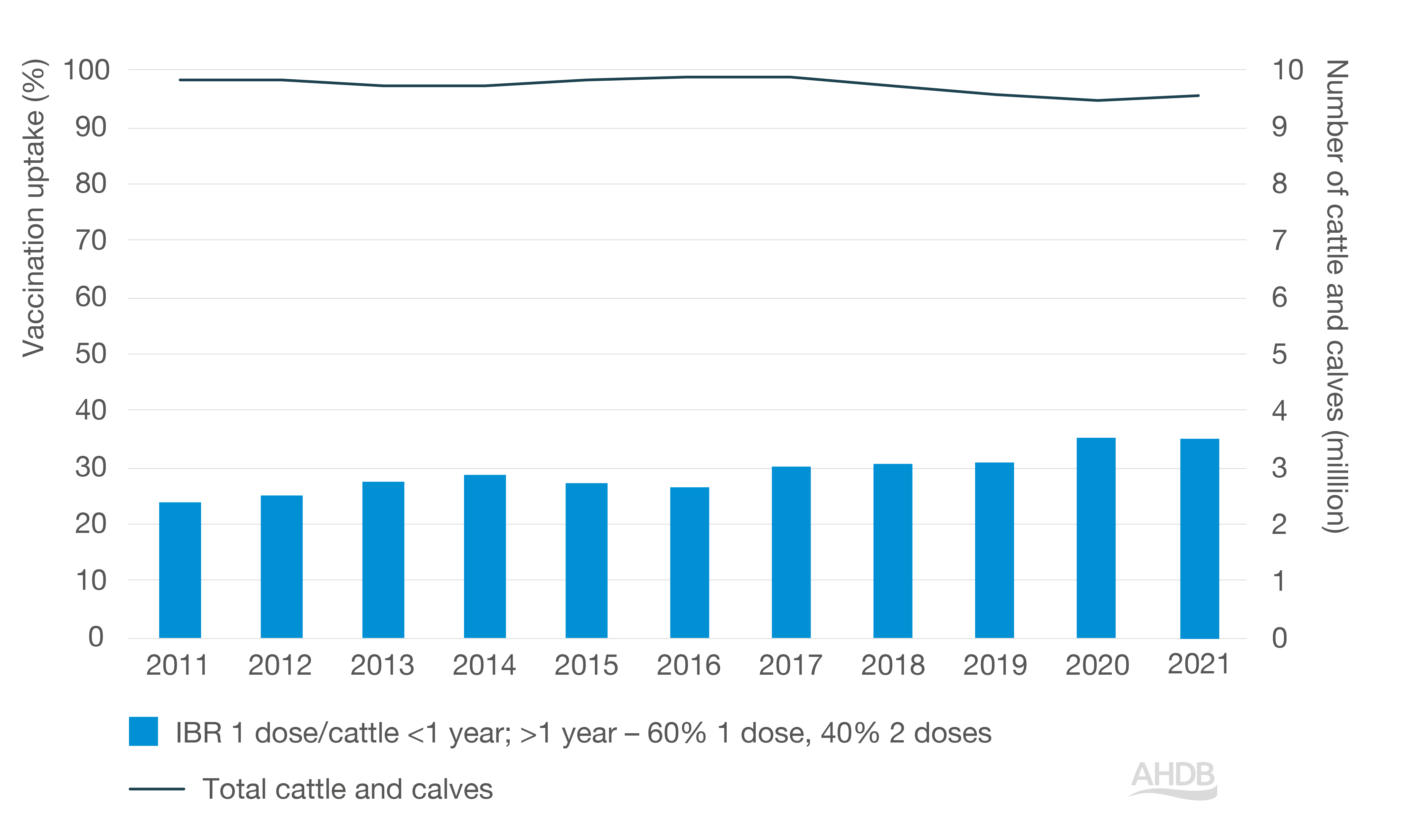 Infectious Bovine Rhinotracheitis (IBR) vaccines in cattle | AHDB